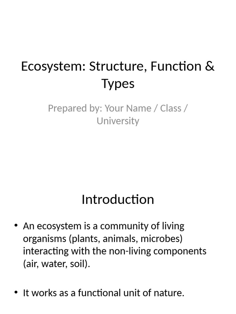 Ecosystem Presentation Designed | PDF