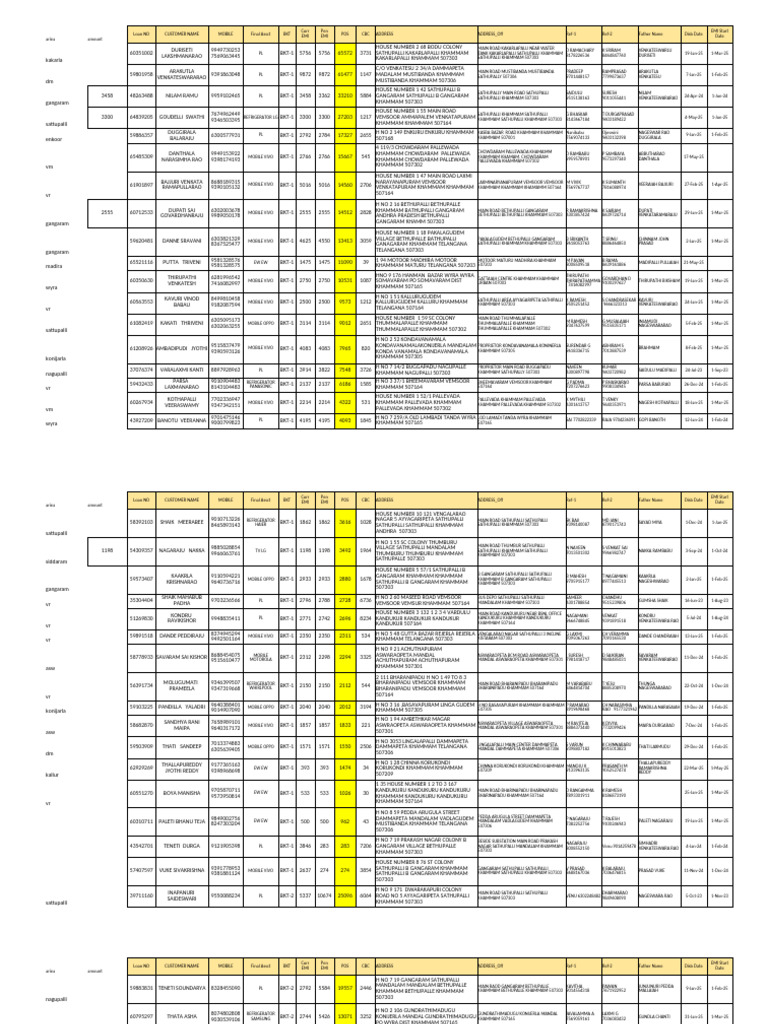 Customer Loan Details and Contacts | PDF