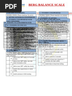Stork Balance Stand Test Guide | PDF