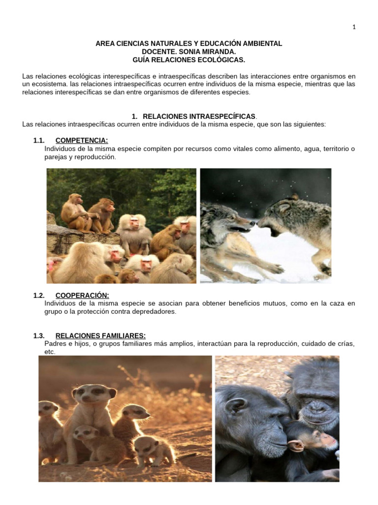 Relaciones Ecológicas: Intraespecíficas e Interespecíficas | PDF ...
