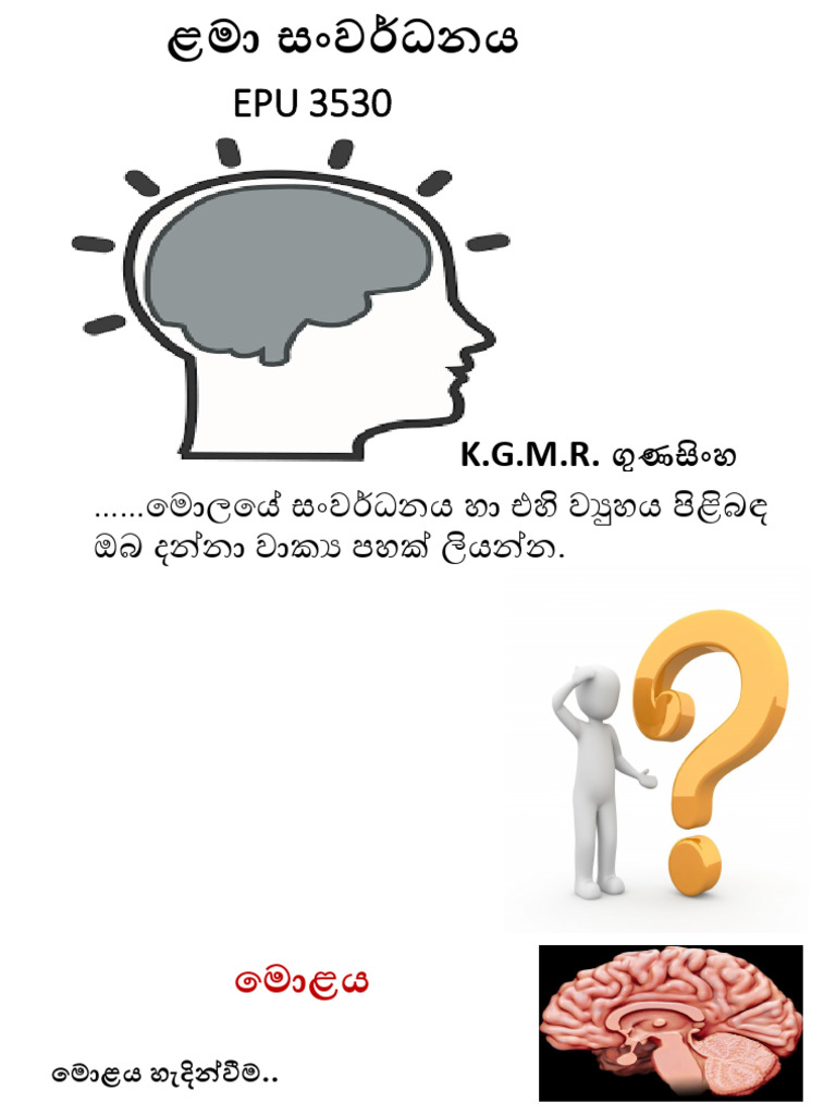 Brain ..Cognitive PDF | PDF