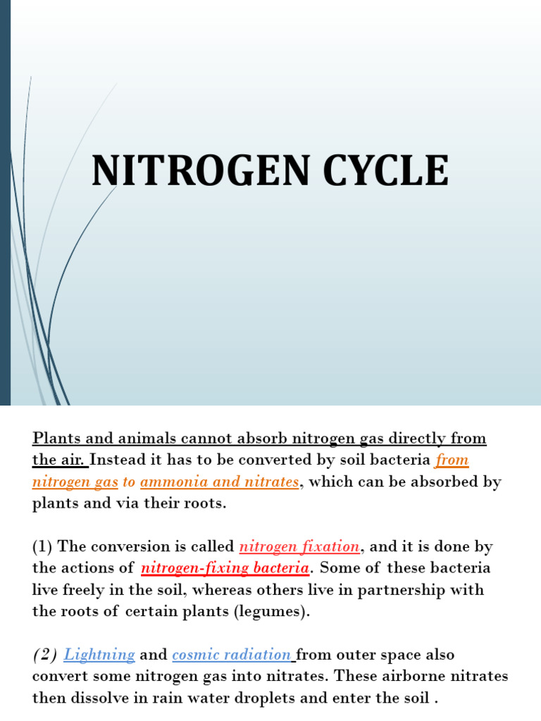 Nitrogen Cycle 2023 | PDF | Nitrate | Nitrogen