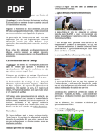 Animais Da Caatinga | PDF
