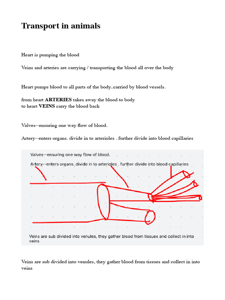 Heart: The Blood Pumping Organ | PDF
