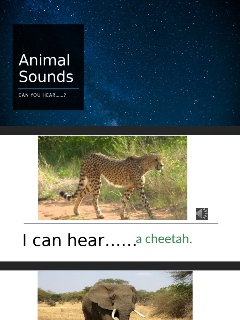 Animal Sounds Guessing | PDF