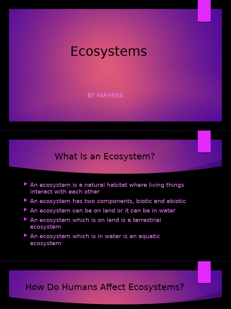 Ecosystems | PDF