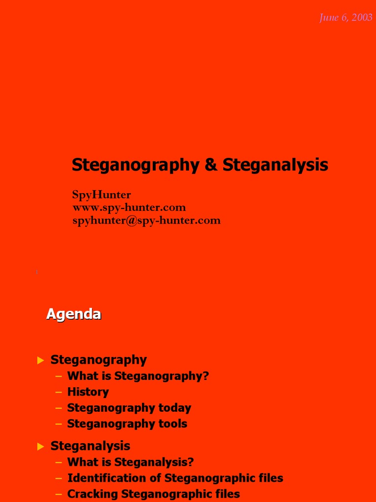 Steganography and Steganalysis Overview | PDF | Applied Mathematics | Crime Prevention