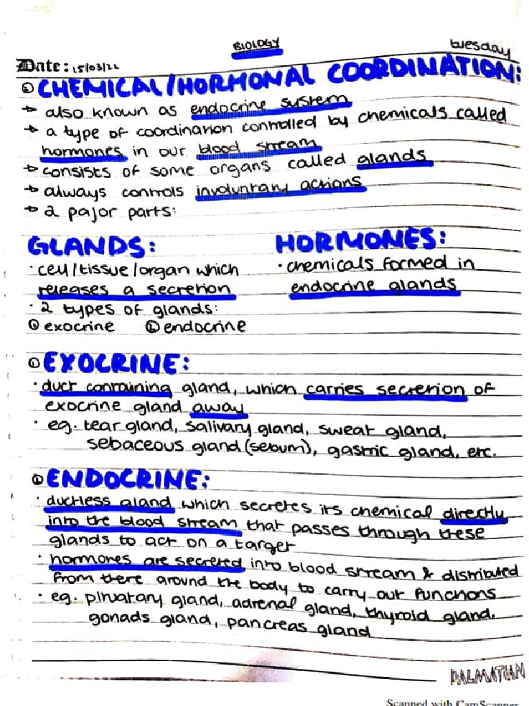 Hormonal Coordination and Glands Explained | PDF | Insulin | Glands