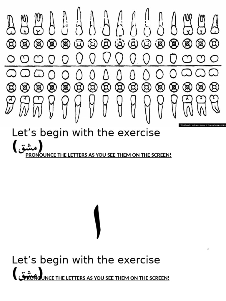 Arabic Names of Teeth Explained | PDF