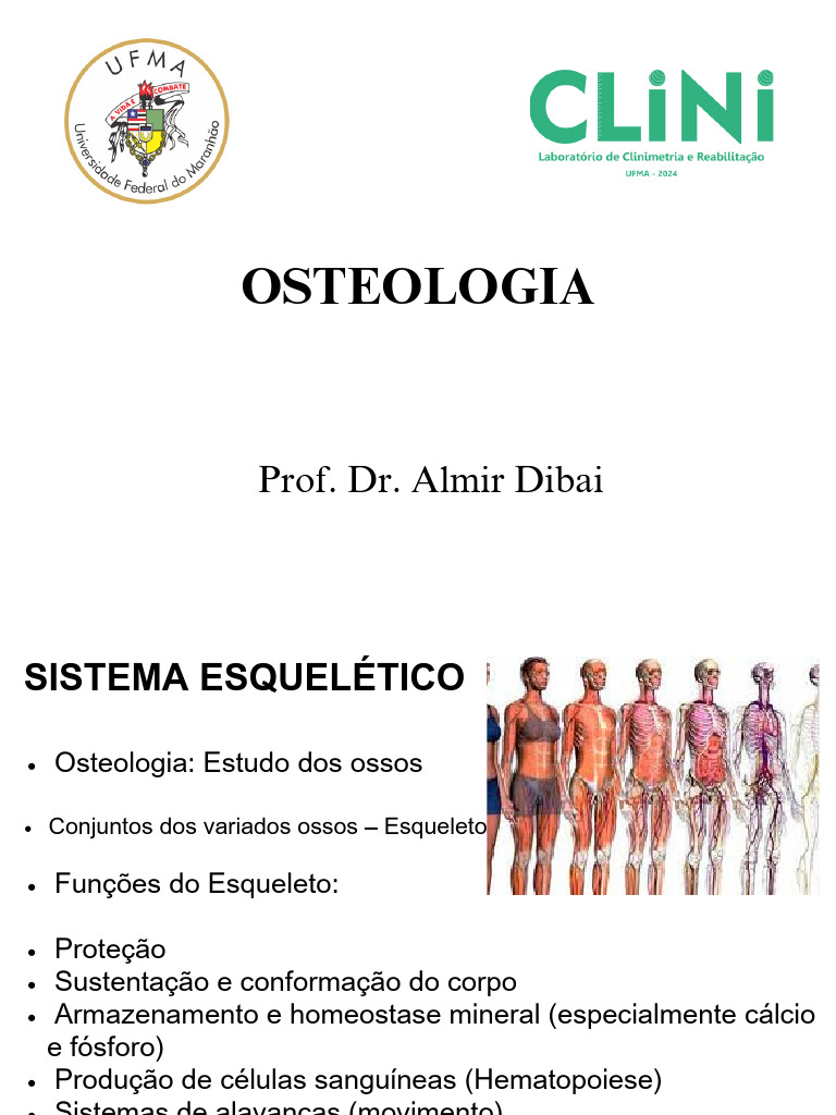 Estudo da Osteologia e Articulações | PDF | Osso | Esqueleto