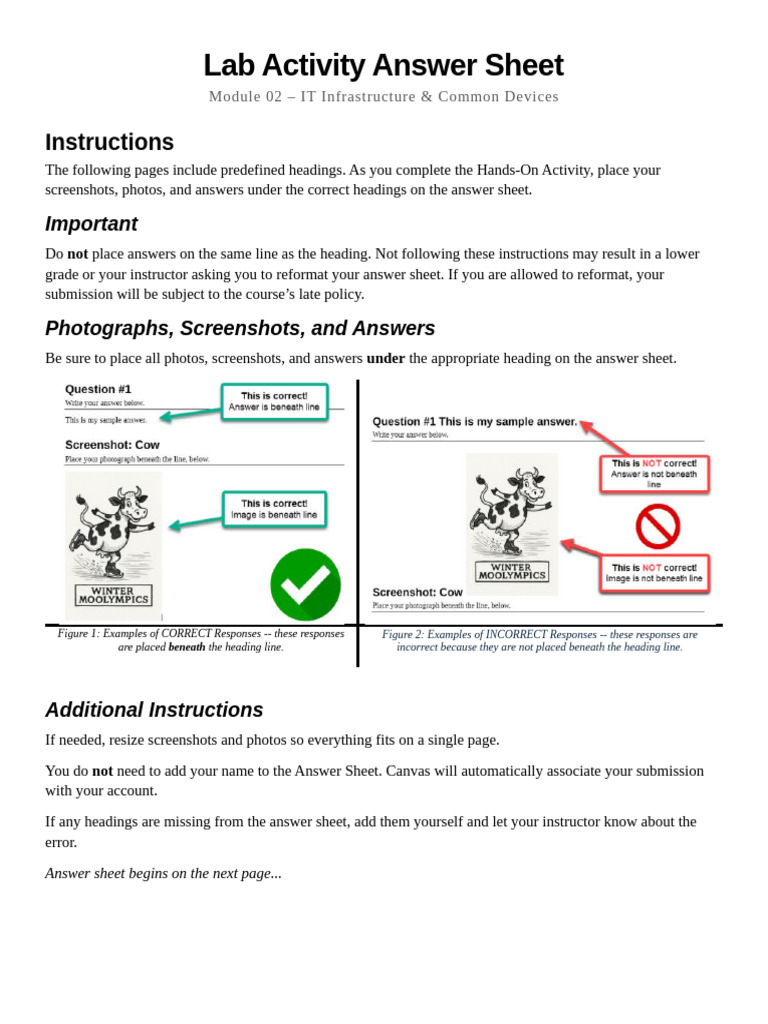 Lab Activity Answer Sheet for IT Module | PDF | Ascii | Software