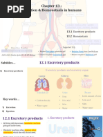 Excretion and Homeostasis Form2 | PDF | Kidney | Homeostasis