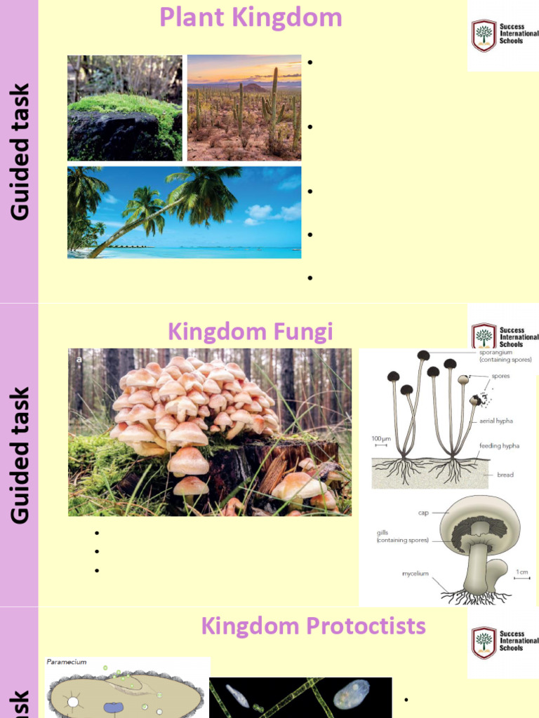 LESSON 2 Chapter 1 Kingdoms Notes | PDF