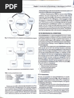 Compensatory Frame of Reference | PDF | Occupational Therapy ...