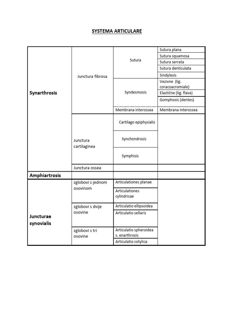 SYSTEMA ARTICULARE | PDF