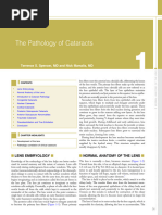 Anatomy and Functions of the Eye Lens | PDF | Cataract | Eye
