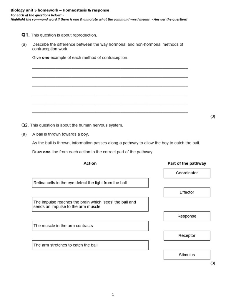 Biology Homework: Homeostasis & Response | PDF | Mental Chronometry | Nerve