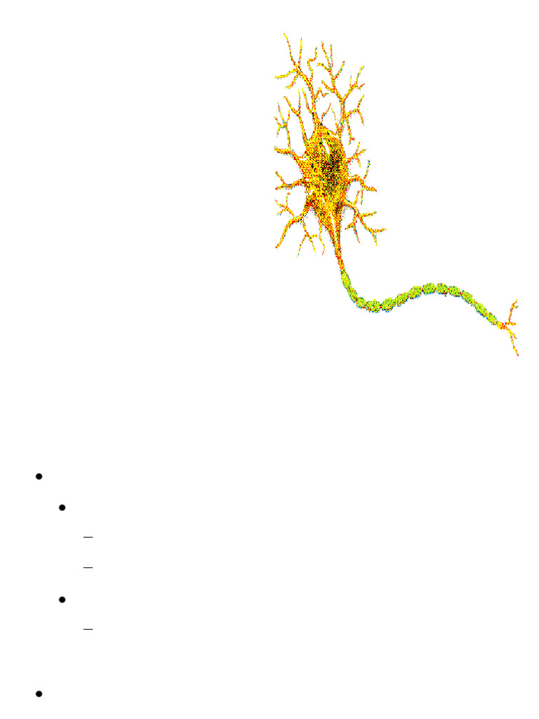 Nerve Tissue Physiology | PDF | Chemical Synapse | Axon