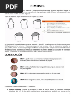 Clasificación y tratamiento de fimosis | PDF | Circuncisión | Medicina