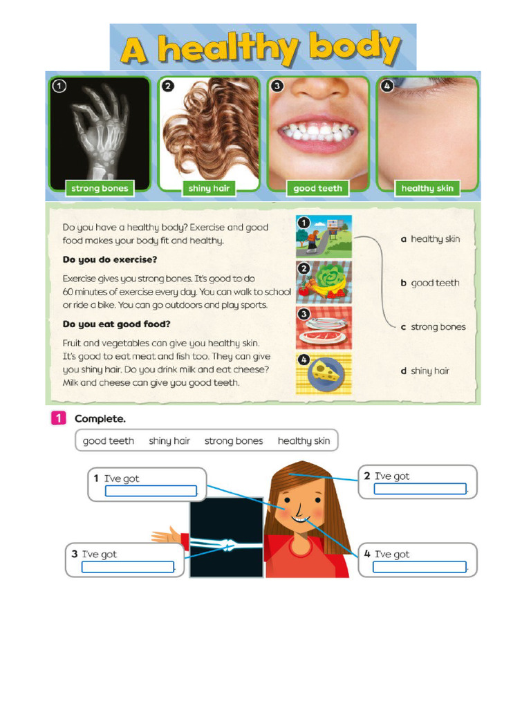 A Healthy Body | PDF