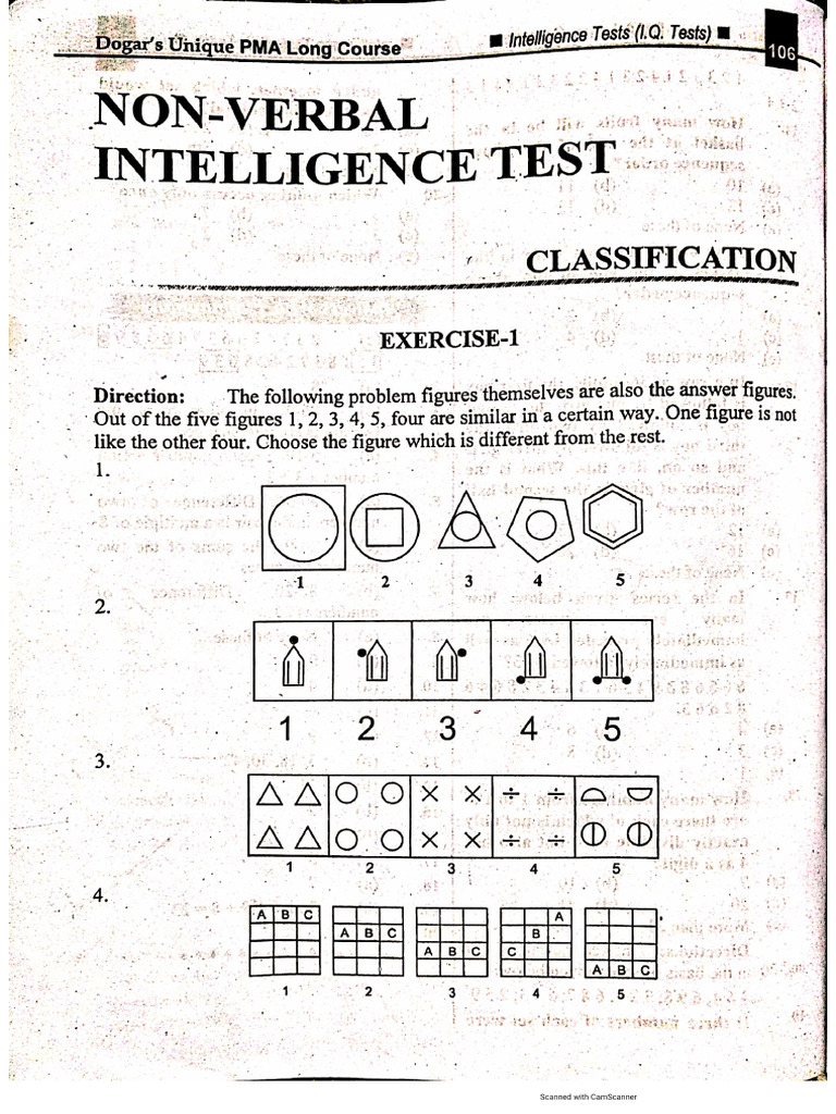 Dogars Non Verbal Intelligence Tests | PDF