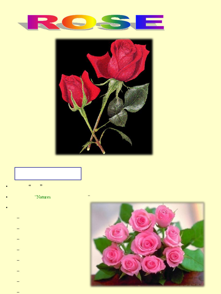 Rose Package of Practices | PDF | Rose | Pruning