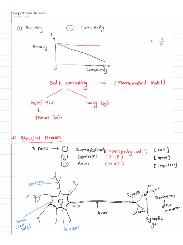Biological Neural Network | PDF