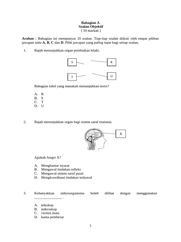 Soalan Upsa 2025 Tahun 6 | PDF