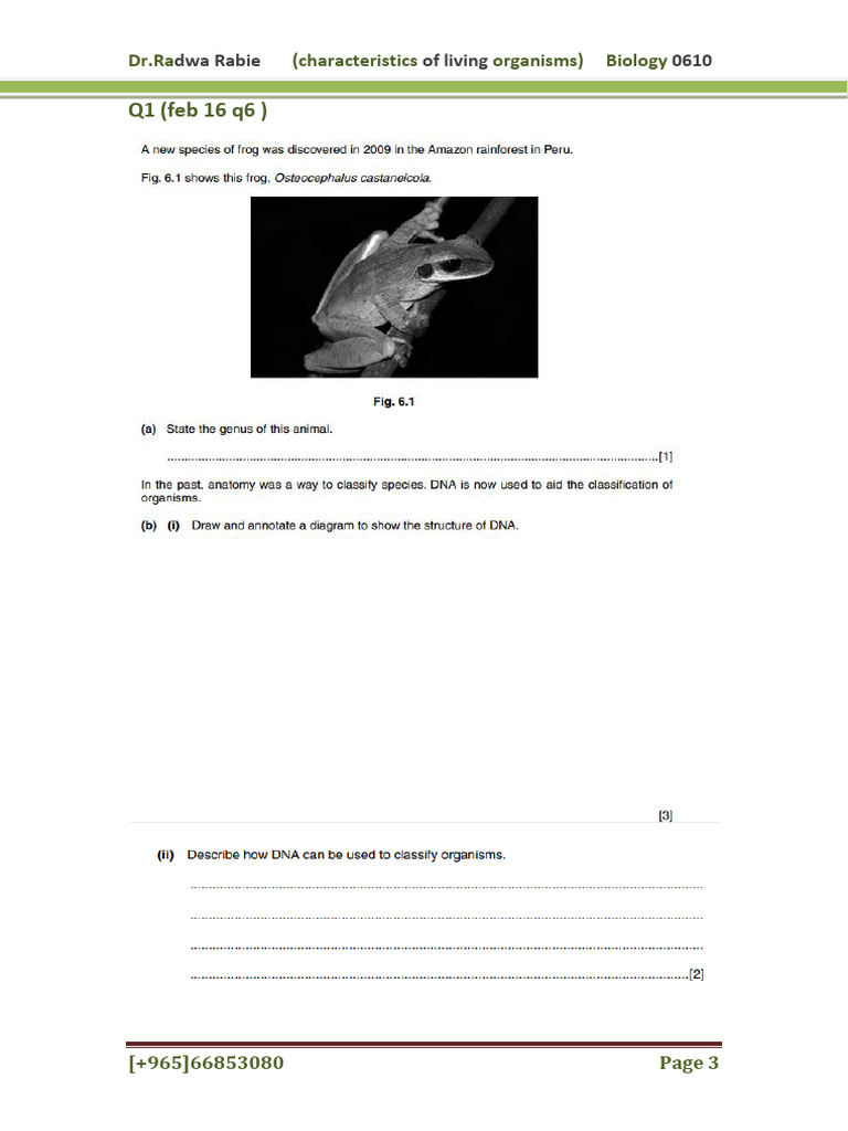 Chapter 1 Paper 4 With MS | PDF