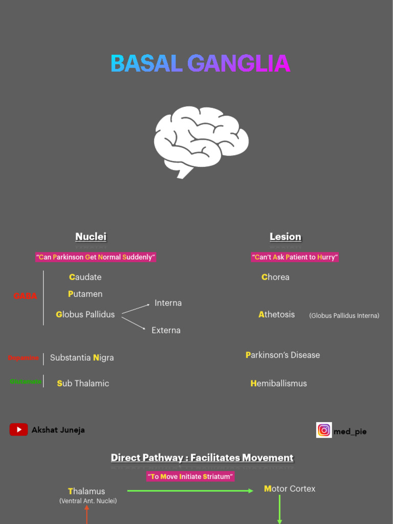 Basal Ganglia and Movement Disorders | PDF