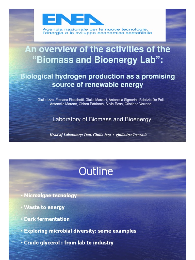 Biomass and Bioenergy Lab | PDF | Biomass | Biodiesel
