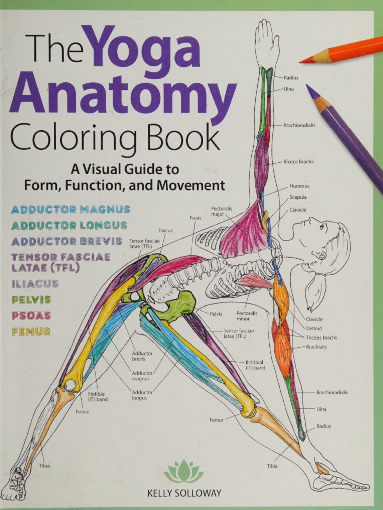 Yoga Anatomy Coloring Book Guide | PDF | Musculoskeletal System | Limbs ...