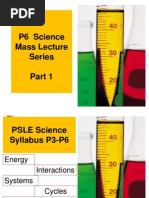 PSLE Foundation Maths 2024 Paper 1 | PDF | Arithmetic | Mathematics