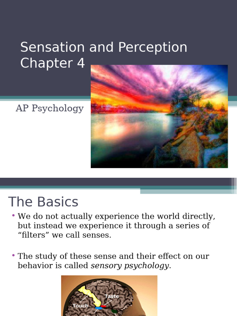 AP Psych - CH 4 Sensation and Perception | PDF | Senses | Perception