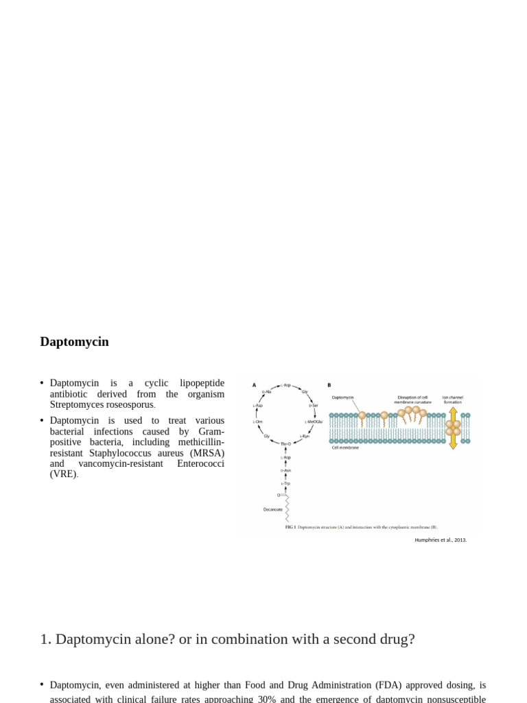 Daptomycin: Efficacy and Dosage Insights | PDF