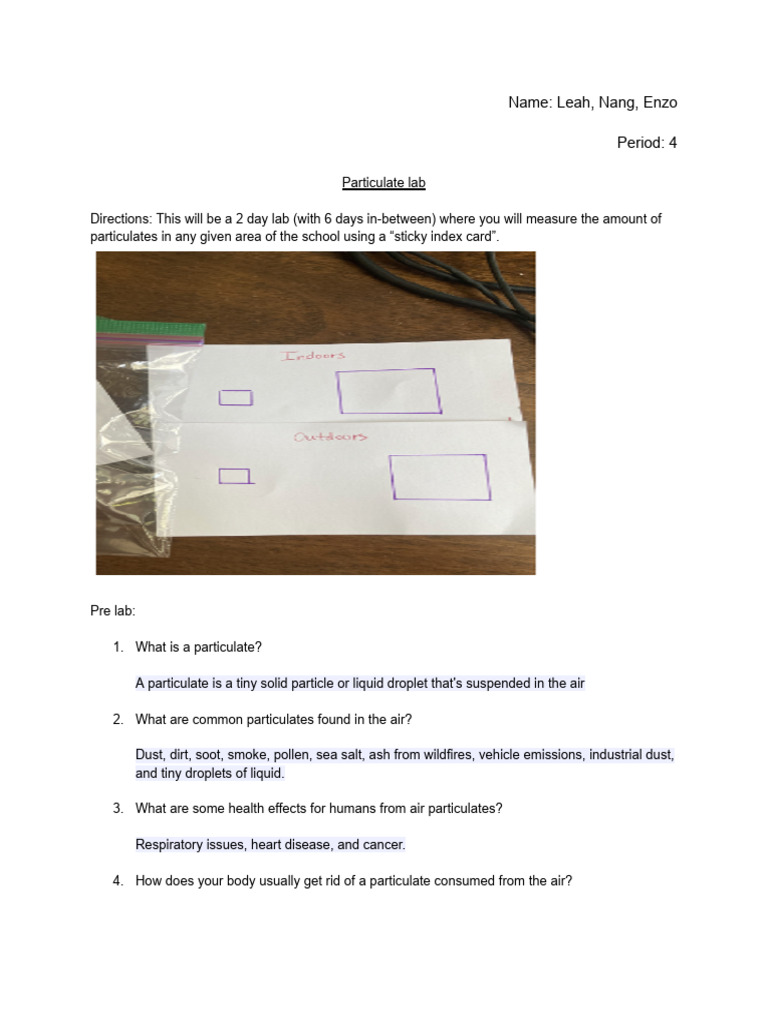 APES Particulate Lab | PDF | Particulates | Smoke