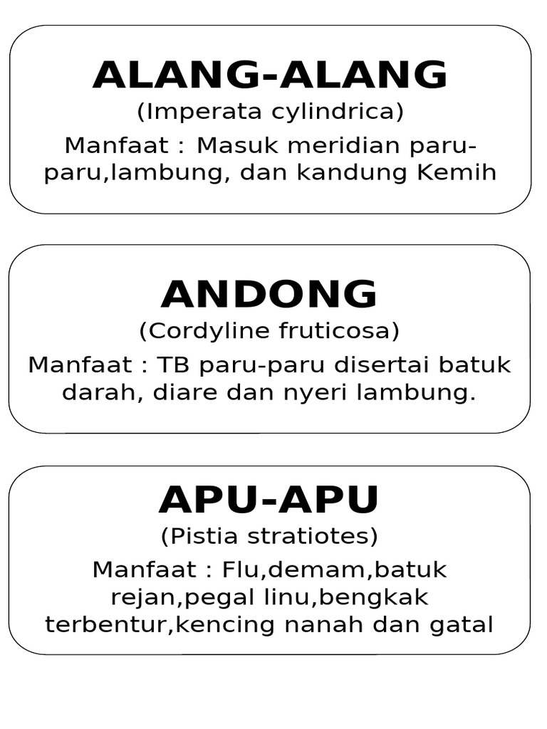 Name Tag Toga 0-10 | PDF
