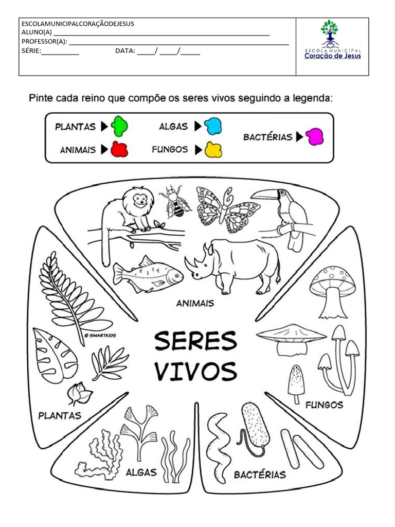Avaliacao Wibson Organizacao Classifi Seres Vivos Adps | PDF