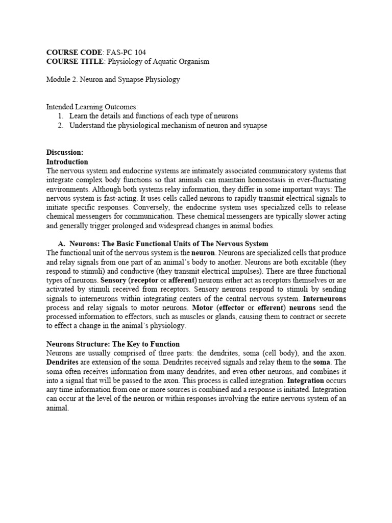 Module 2. Neuron and Synape Physiology | PDF | Chemical Synapse | Neuron