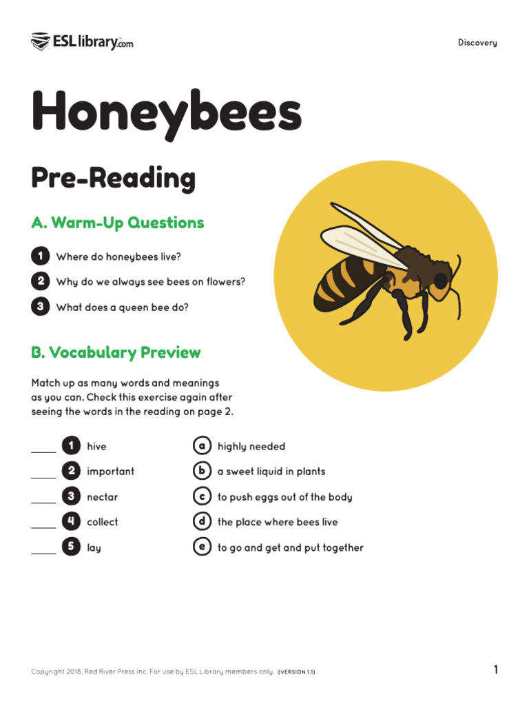 Honeybees | PDF | Honey Bee | Bees