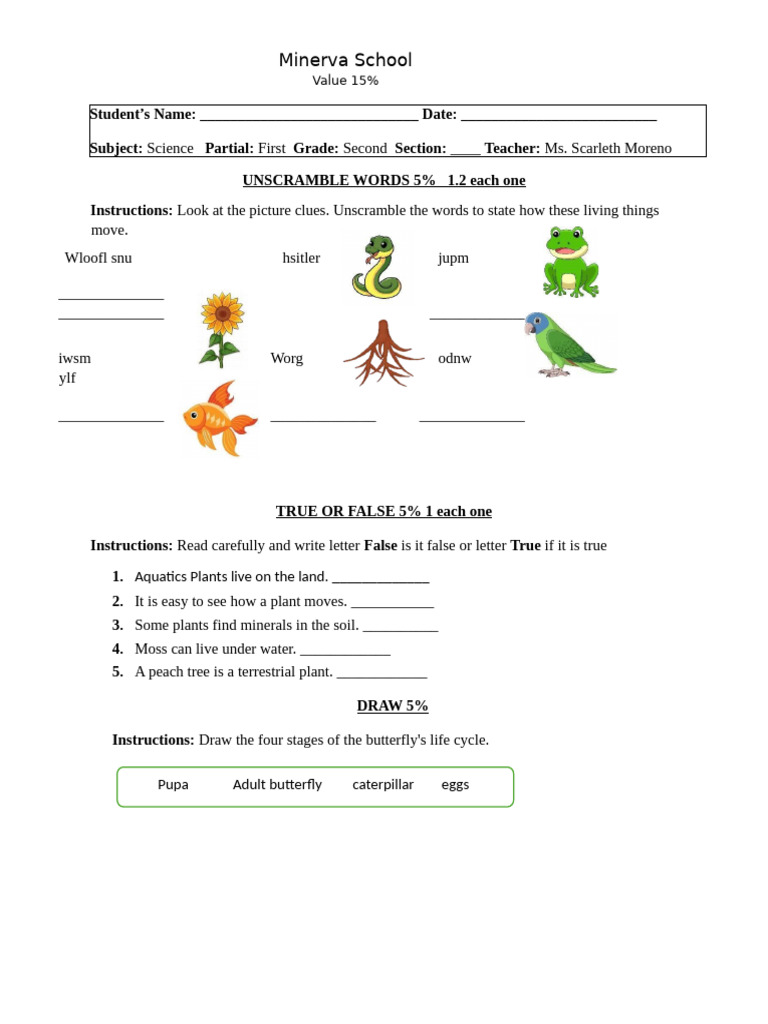 Science Test 2nd Grade | PDF