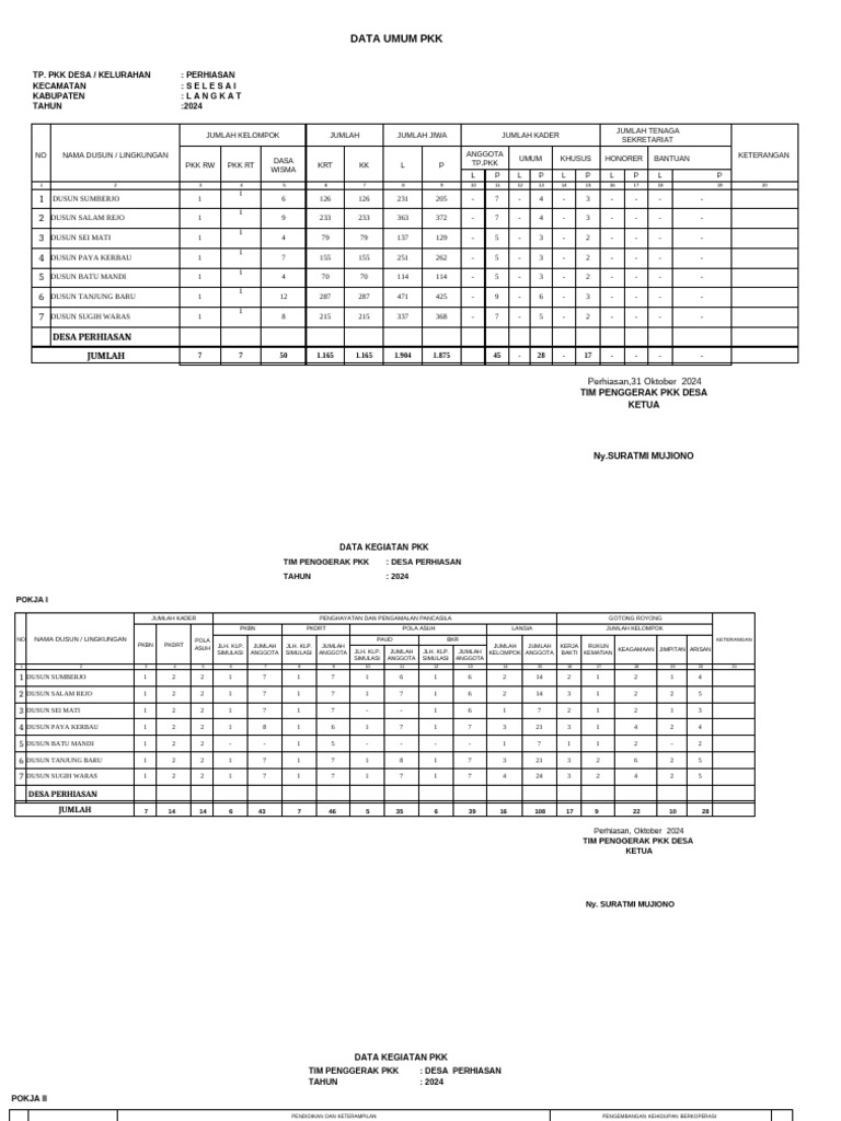 Data Umum PKK 2024 | PDF