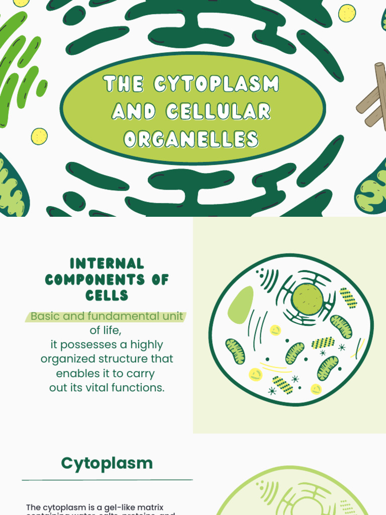 The Cytoplasm and Cellular Organelles | PDF | Endoplasmic Reticulum ...