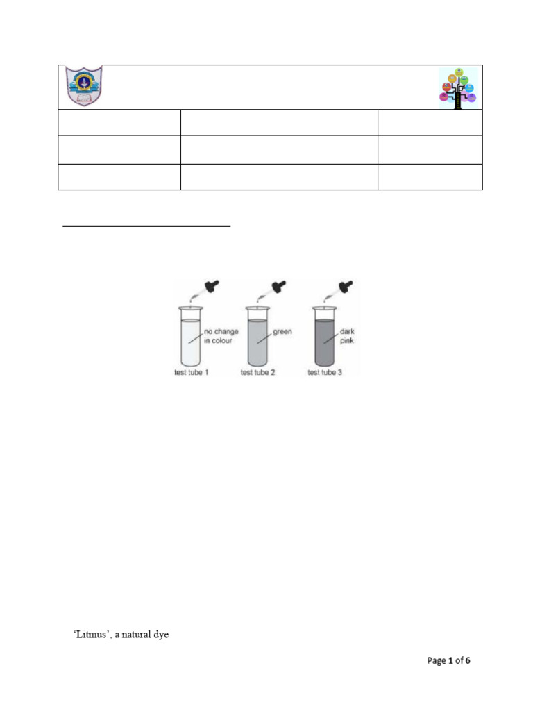Acids, Bases, and Salts Worksheet | PDF | Acid | Sodium Bicarbonate