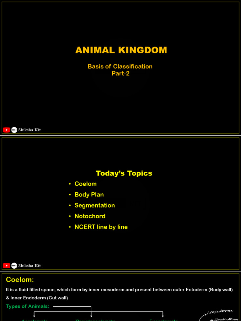 Animal Kingdom 2 | PDF