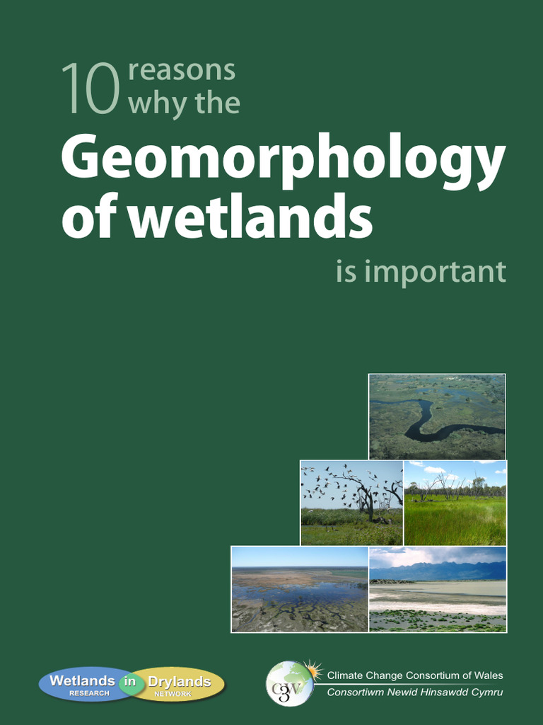 Importance of Wetland Geomorphology | PDF | Wetland | Geomorphology