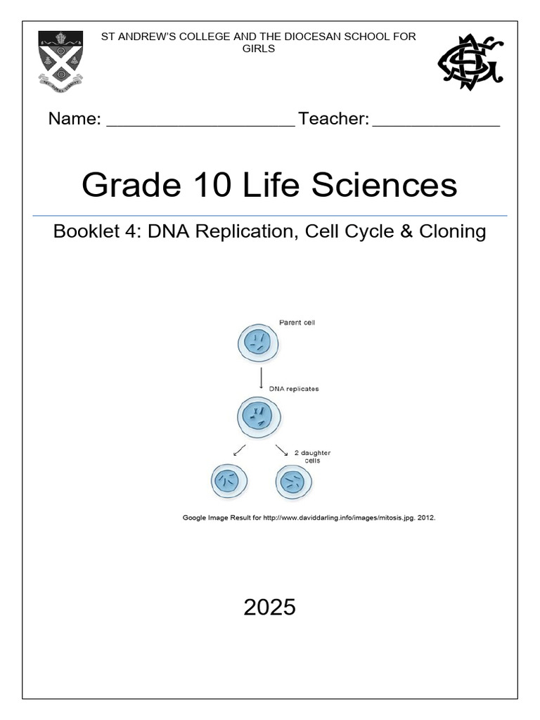 GR 10 Booklet 4 DNA Replication, Cell Cycle & Cloning 2025 | PDF ...