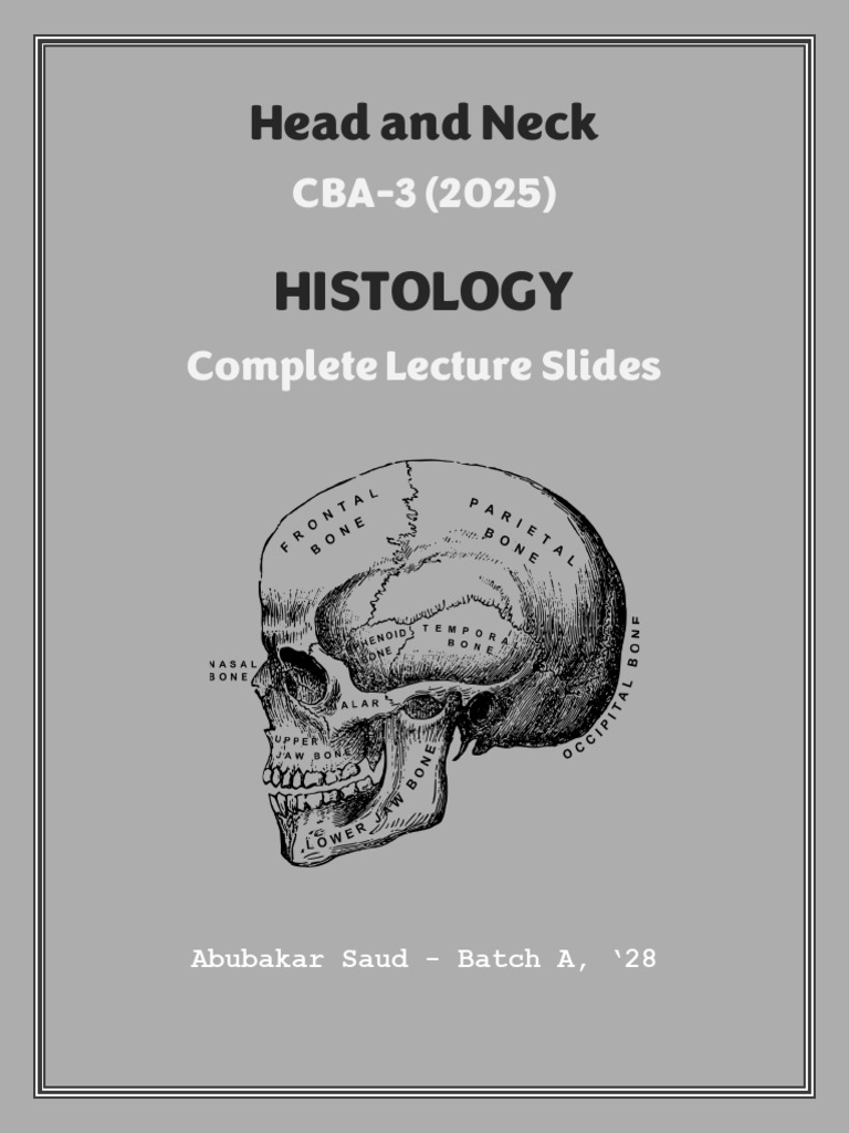 Histology of Skin and Burns Overview | PDF | Skin | Epidermis