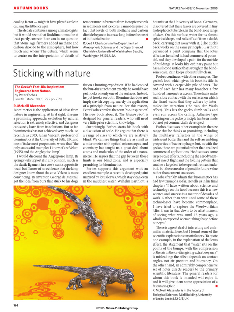 Sticking With Nature Gecko Feet | PDF | Physical Sciences | Applied And ...