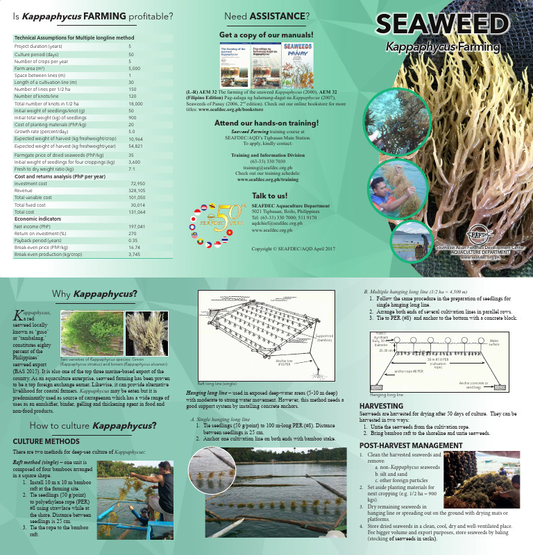 Seaweed Farming Flyer | PDF | Seaweed | Agriculture